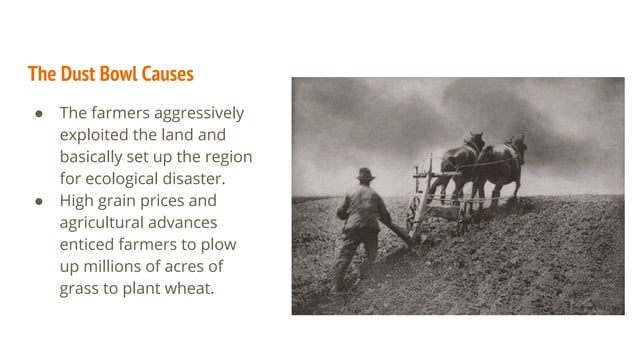 The Dust Bowl | PPT