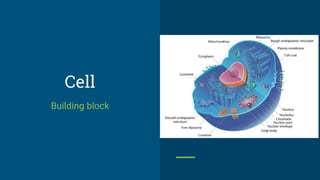 cell as a basic unit of life | PPT