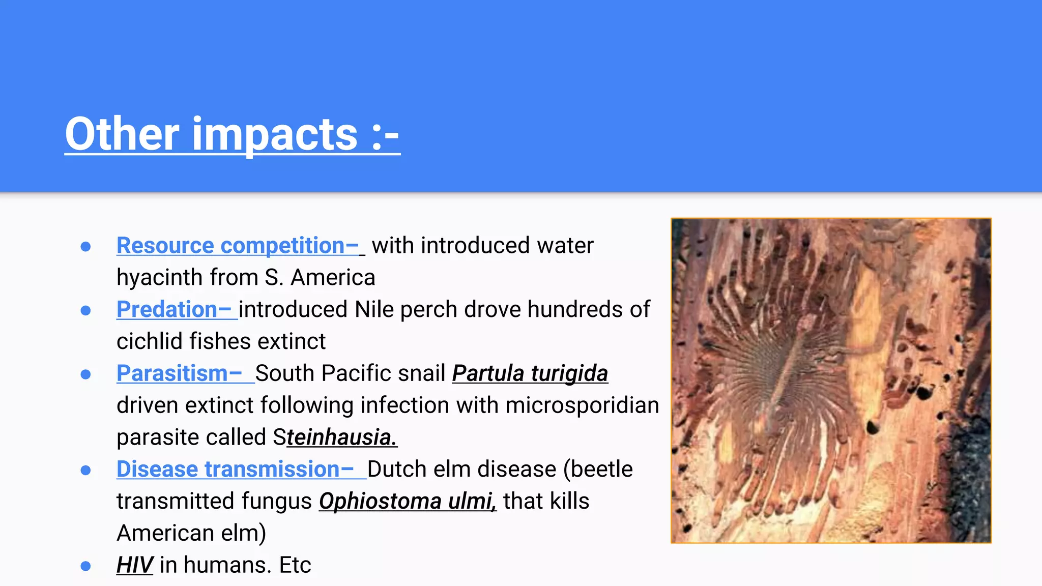 General presentation.pptx