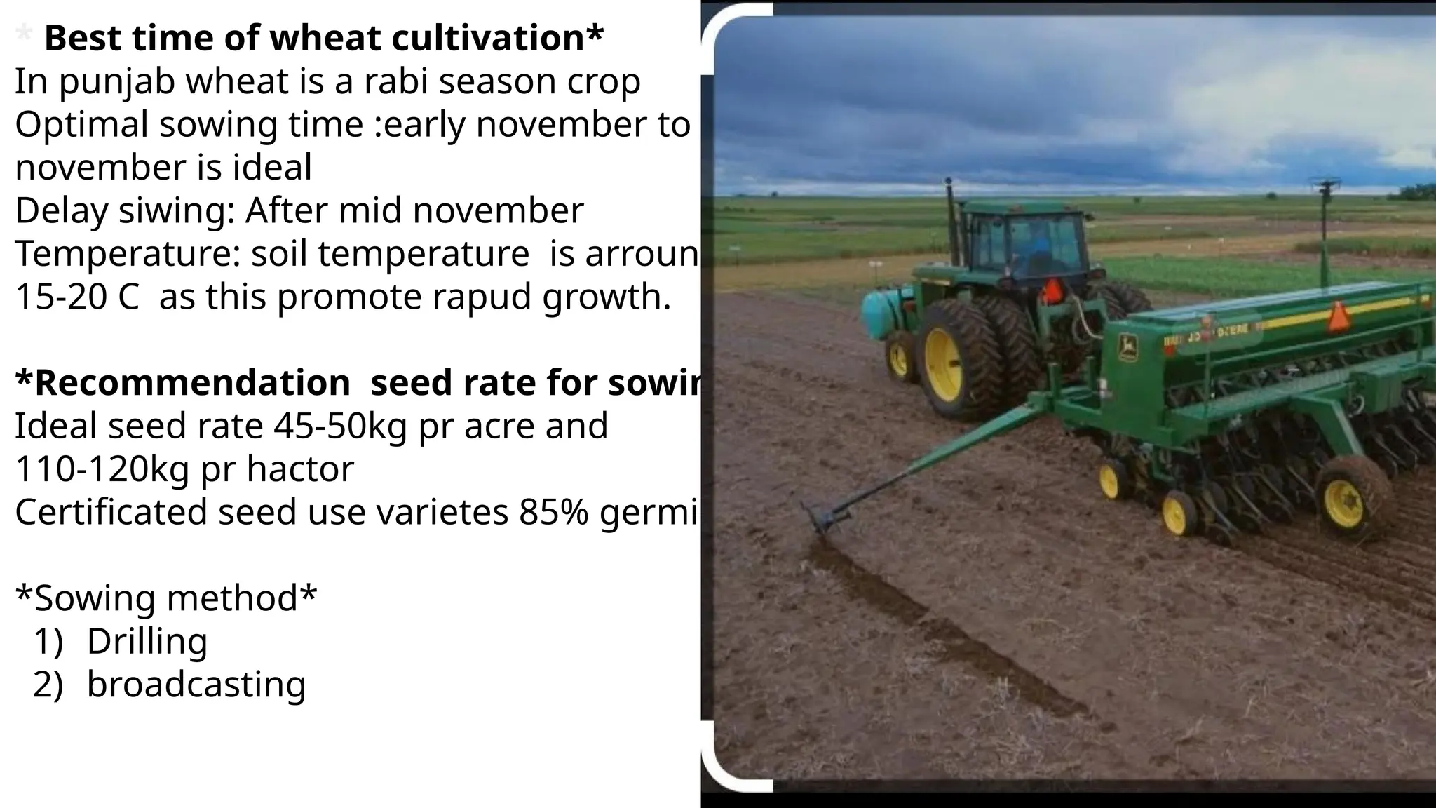 Wheat crop ppt.x for classroom it's diseases | PPT
