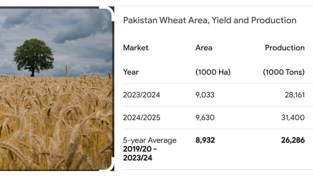 Wheat crop ppt.x for classroom it's diseases | PPT