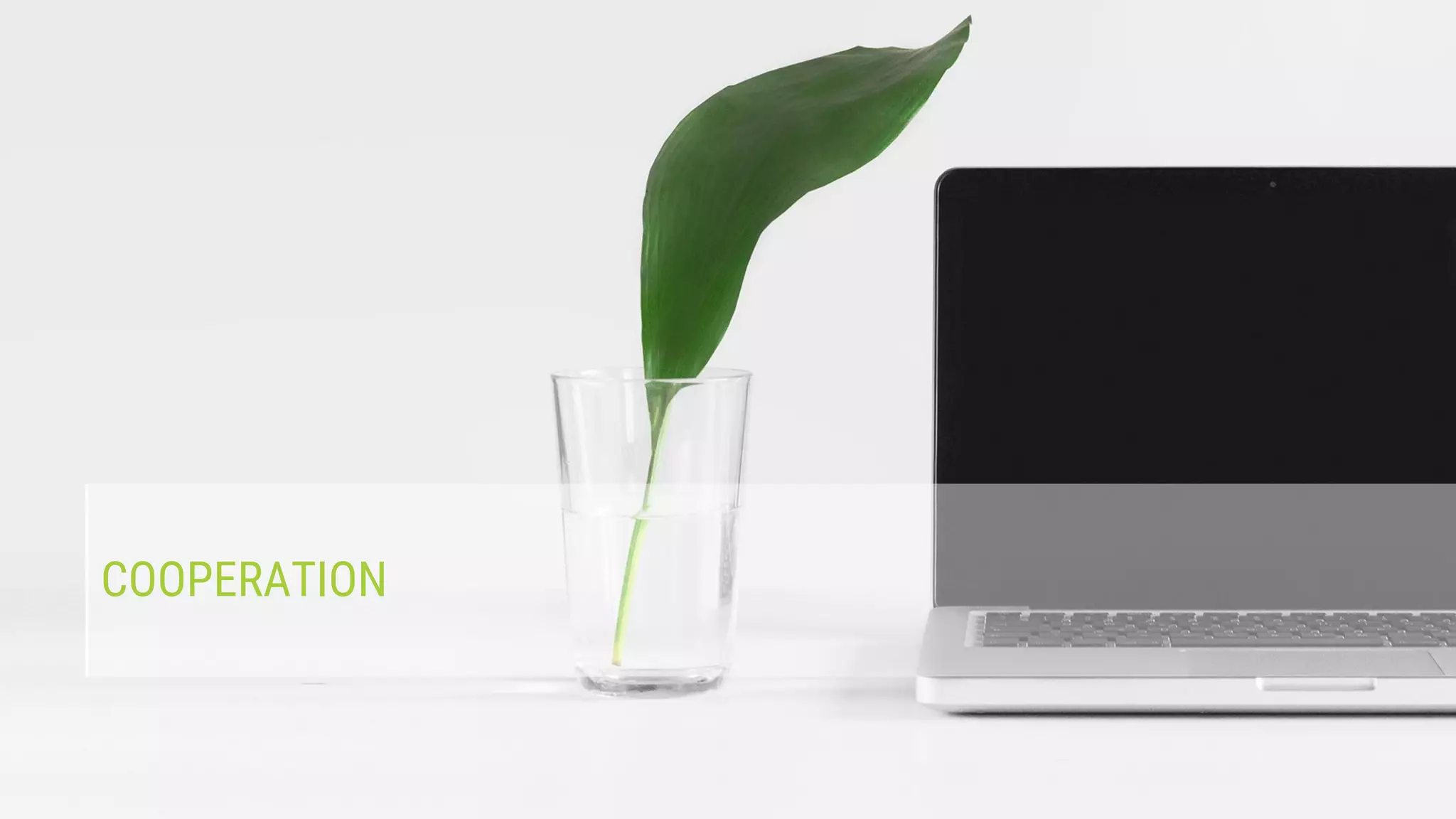 General presentation - Bitcraft | PDF