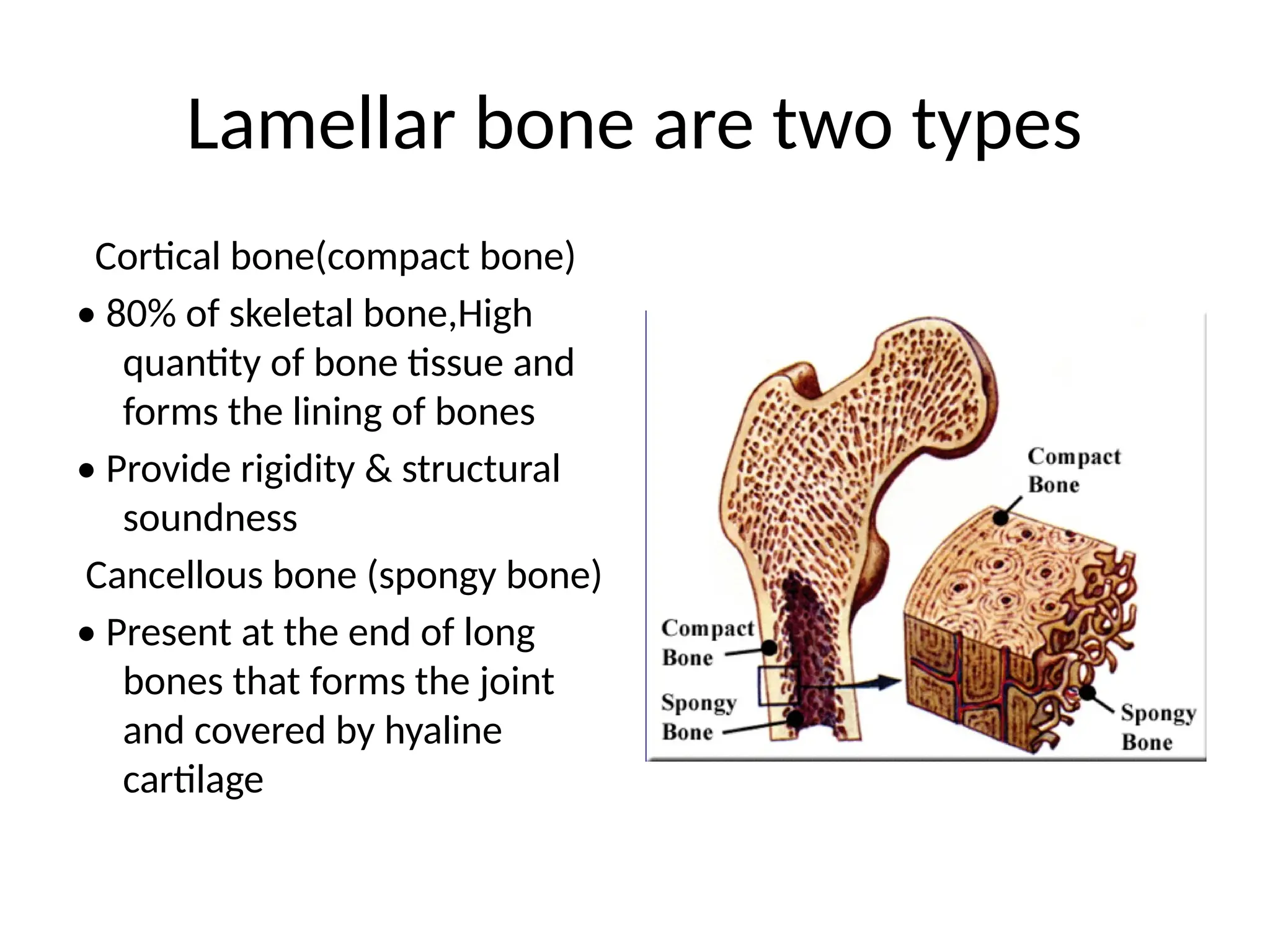 General principle of fracture & dislocation,solomon.pptx