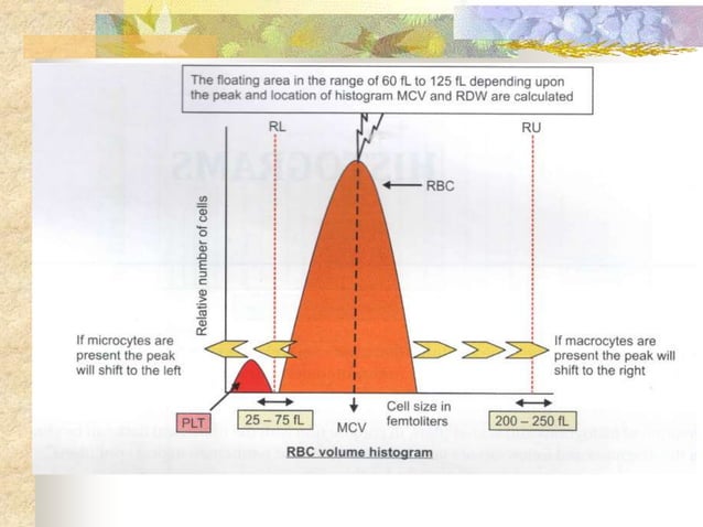 Interpretation of cbc 3 | PPT