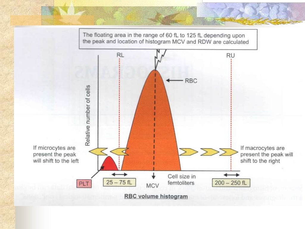 Interpretation of cbc 3