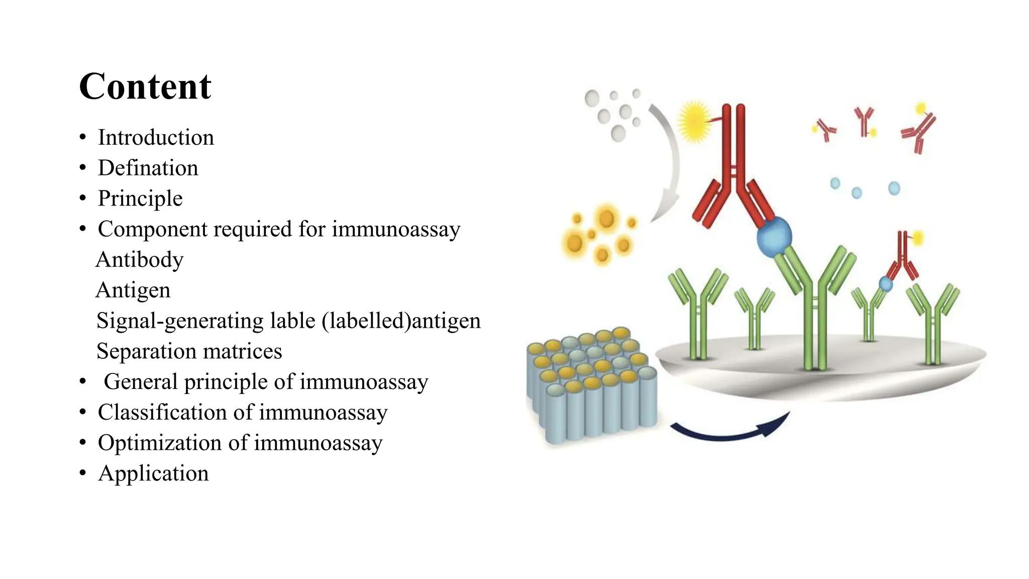 General principle of immunoassay Theoretical basis and optimization of ...