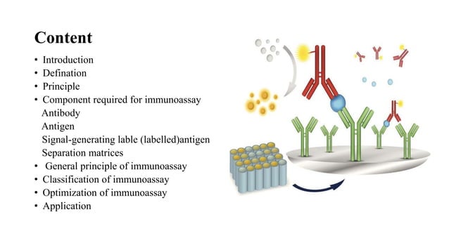 General principle of immunoassay Theoretical basis and optimization of ...
