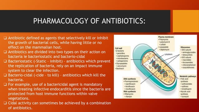GENERAL PRINCIPLES OF ANTIBIOTIC THERAPY.pptx | Infectious Diseases ...