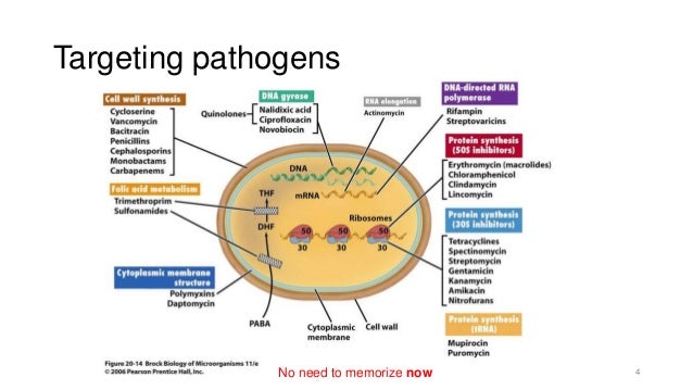 General principles of antimicrobial therapy