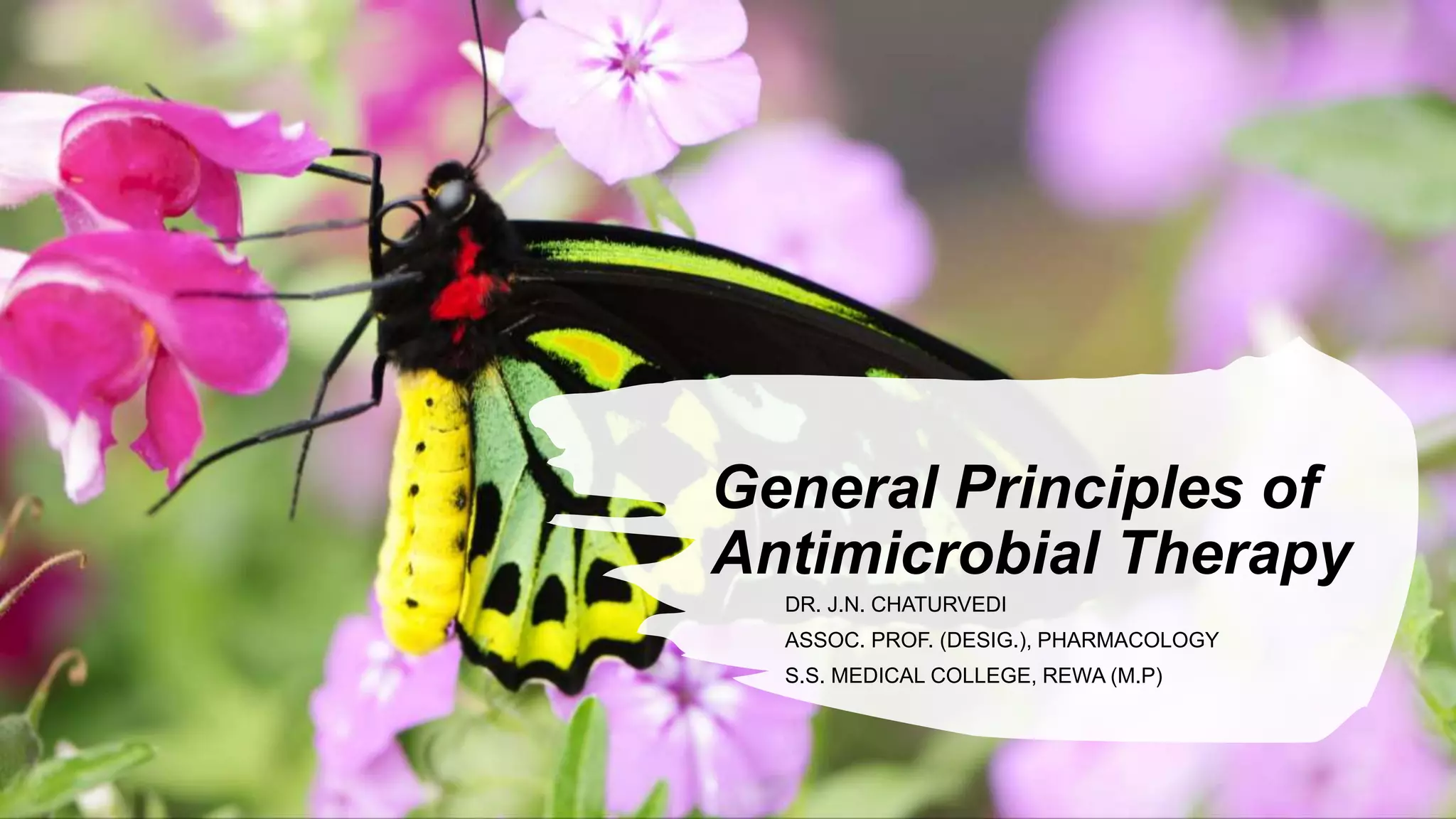 General principles of antimicrobial therapy | PPTX