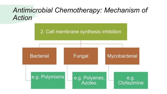 General principles of antimicrobial therapy | PPTX