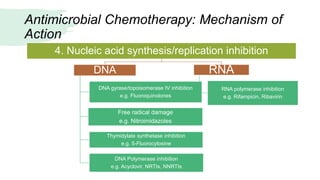 General principles of antimicrobial therapy | PPTX