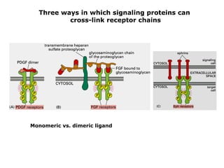 General principles of cell communication.pdf