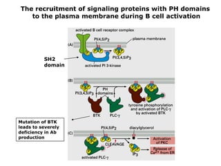 General principles of cell communication.pdf