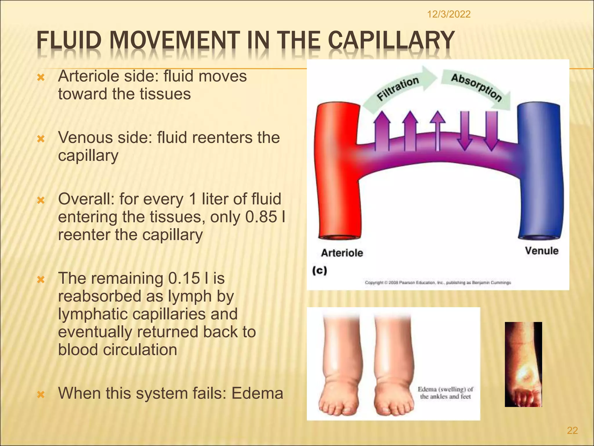 Hemodynamics of Circulation | PPT