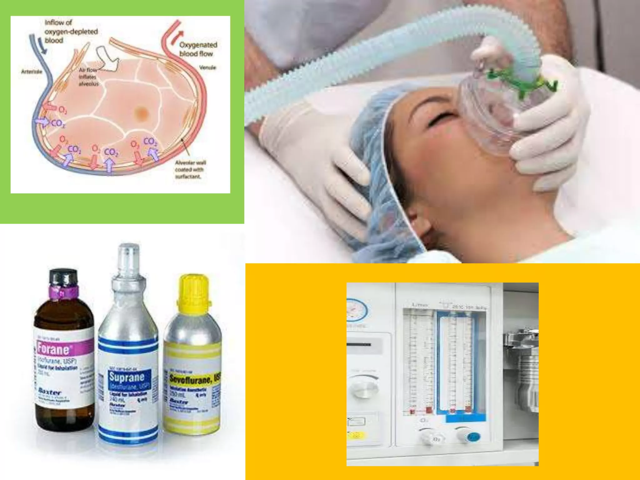 General principles of pharmacology of inhalational agents ...