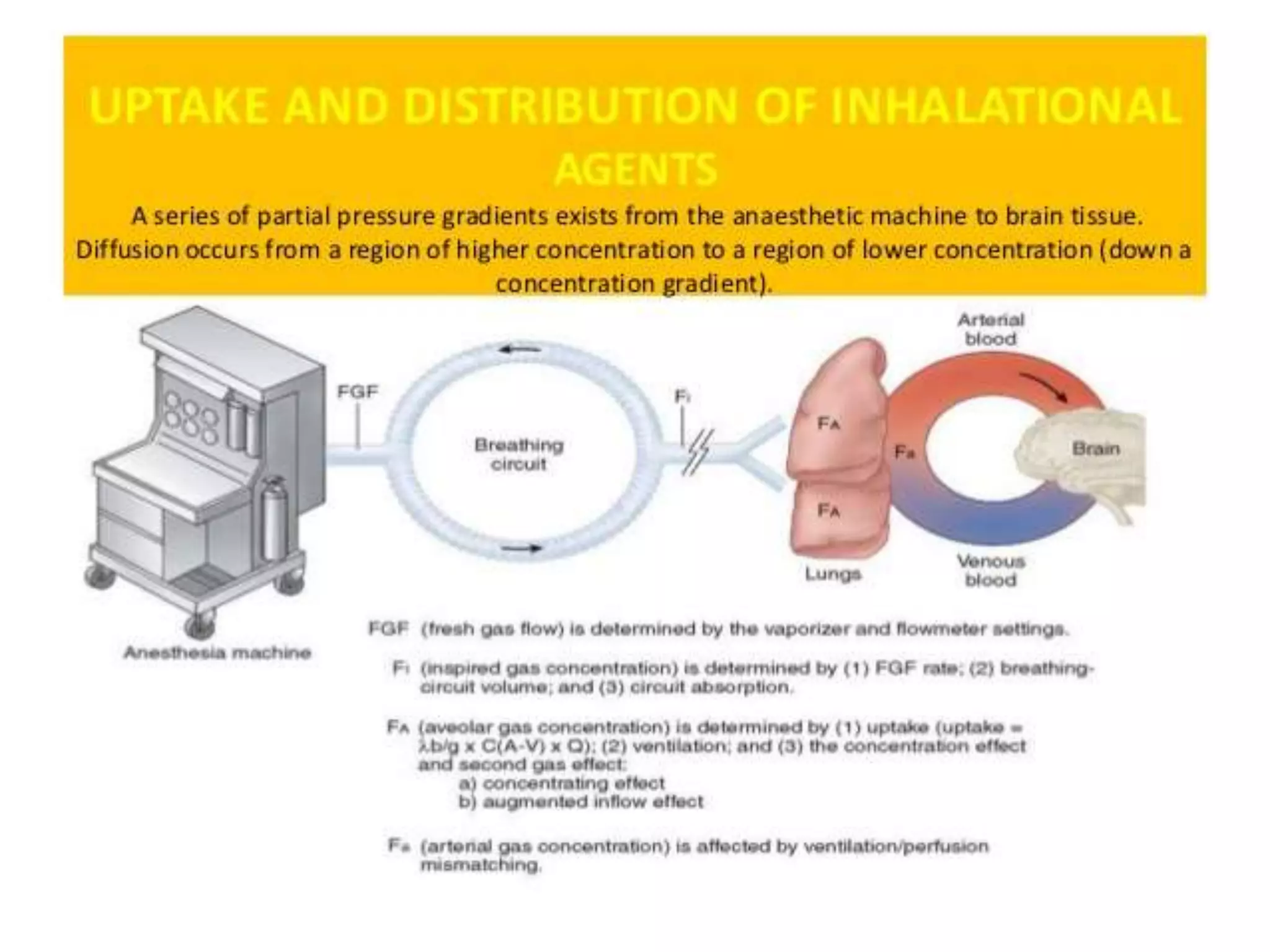 General principles of pharmacology of inhalational agents ...