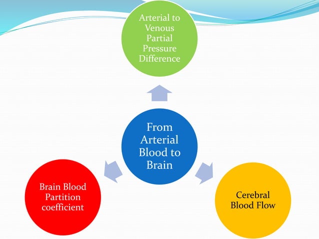 General principles of pharmacology of inhalational agents ...