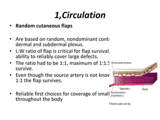 By Dr Dagmawi GeremewGeneral Principles of Skin Graft and Flaps | PPTX