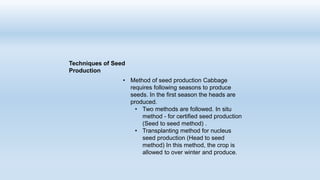 General production of seed | PPTX | Agriculture | Industries