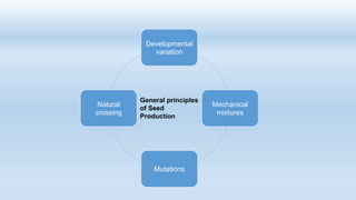 General production of seed | PPTX | Agriculture | Industries