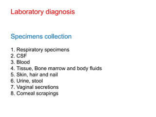 General properties of fungi | PPTX