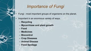 General_Properties_of_fungi.pptx