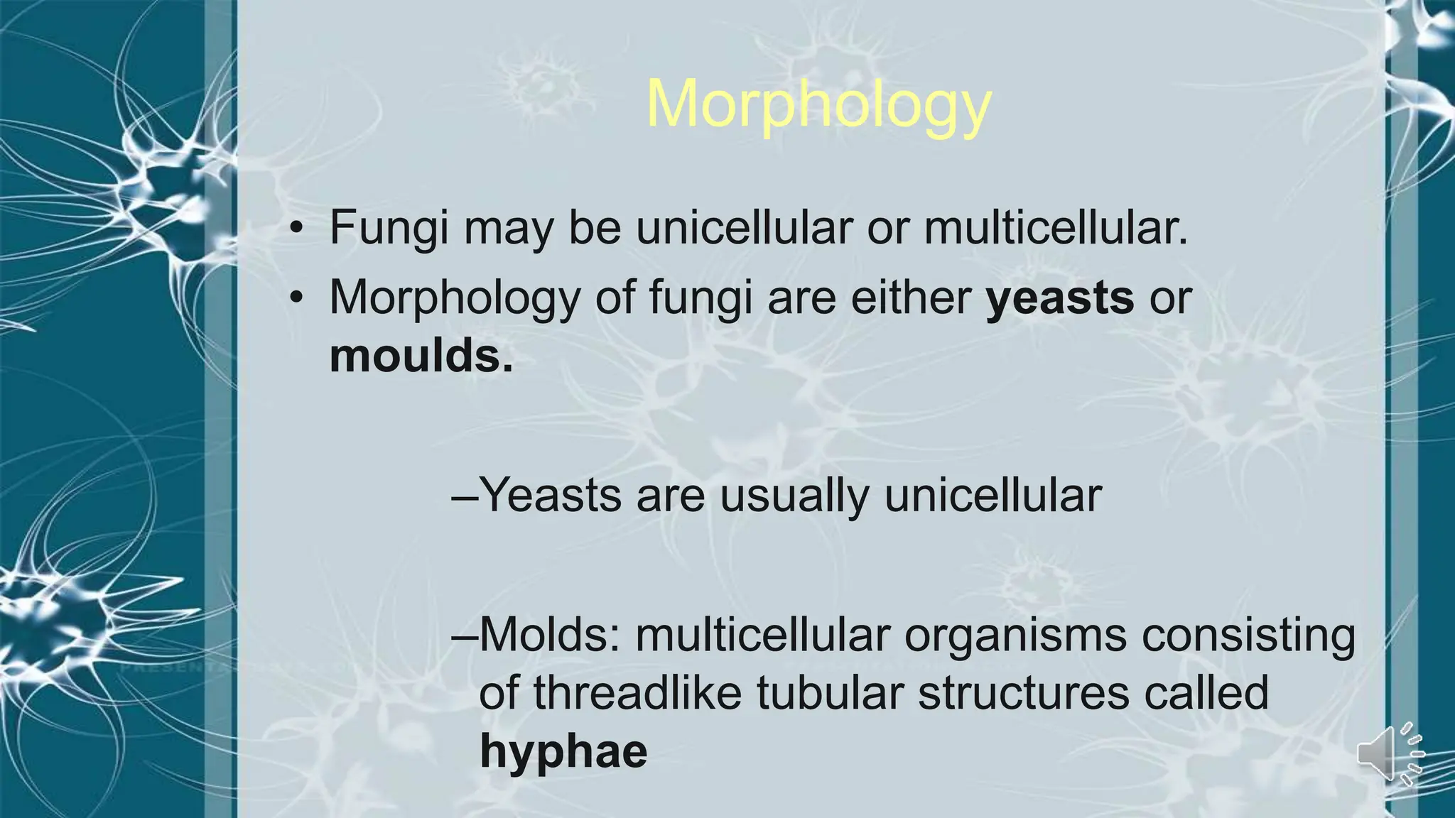General_Properties_of_fungi fidrawa.pptx