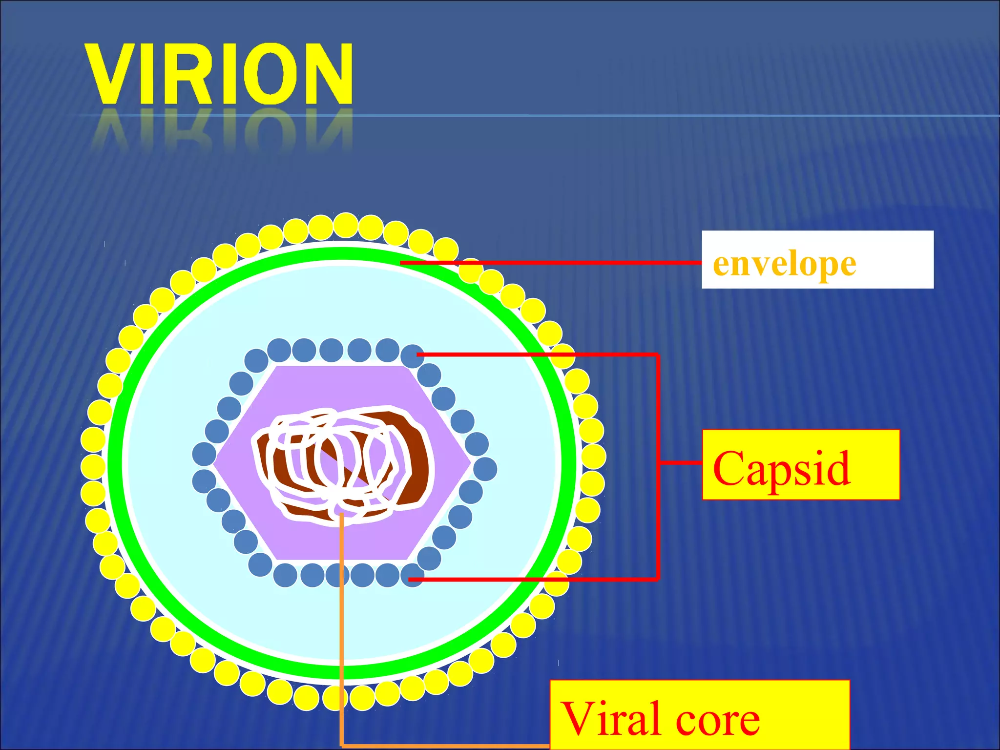 General properties of viruses | PPT
