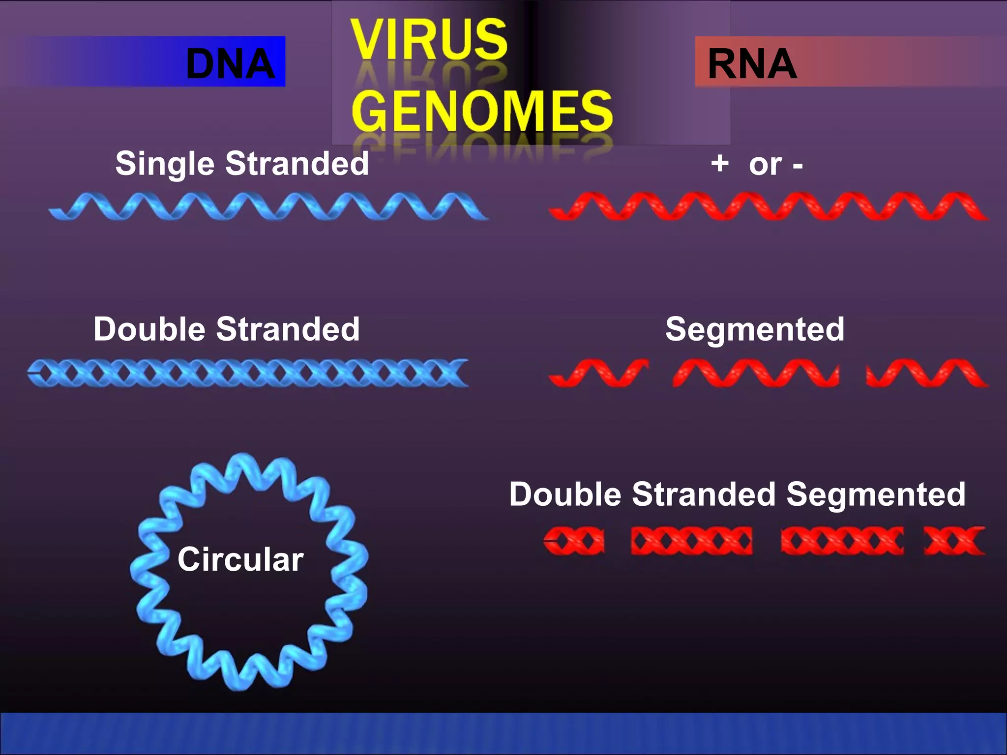 General properties of viruses | PPT
