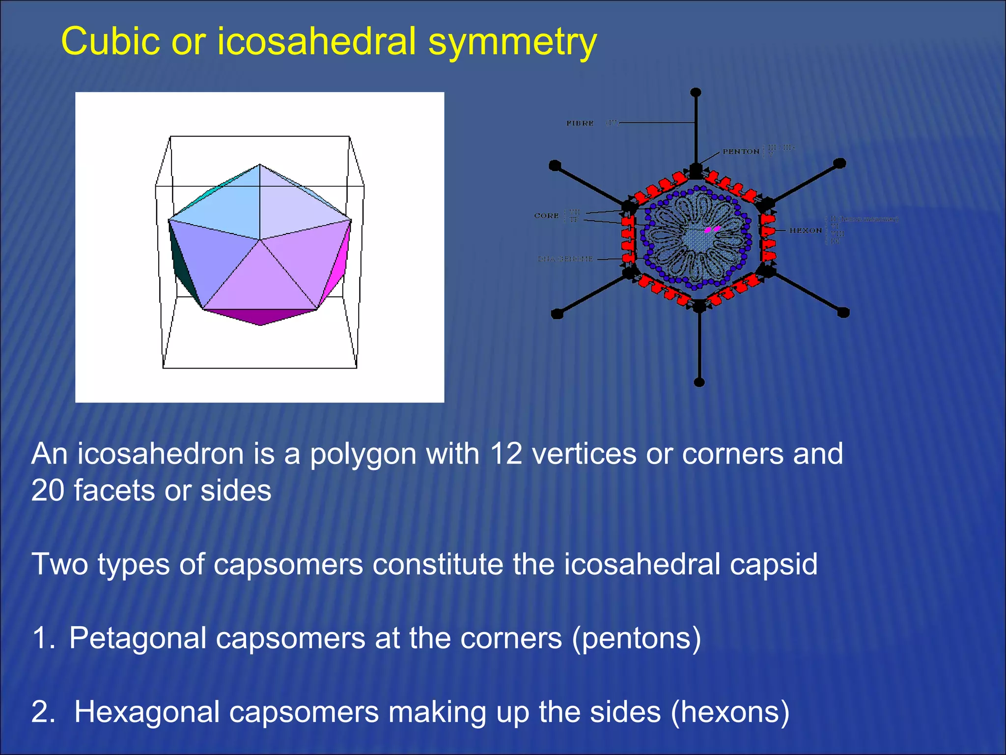 General properties of viruses | PPT