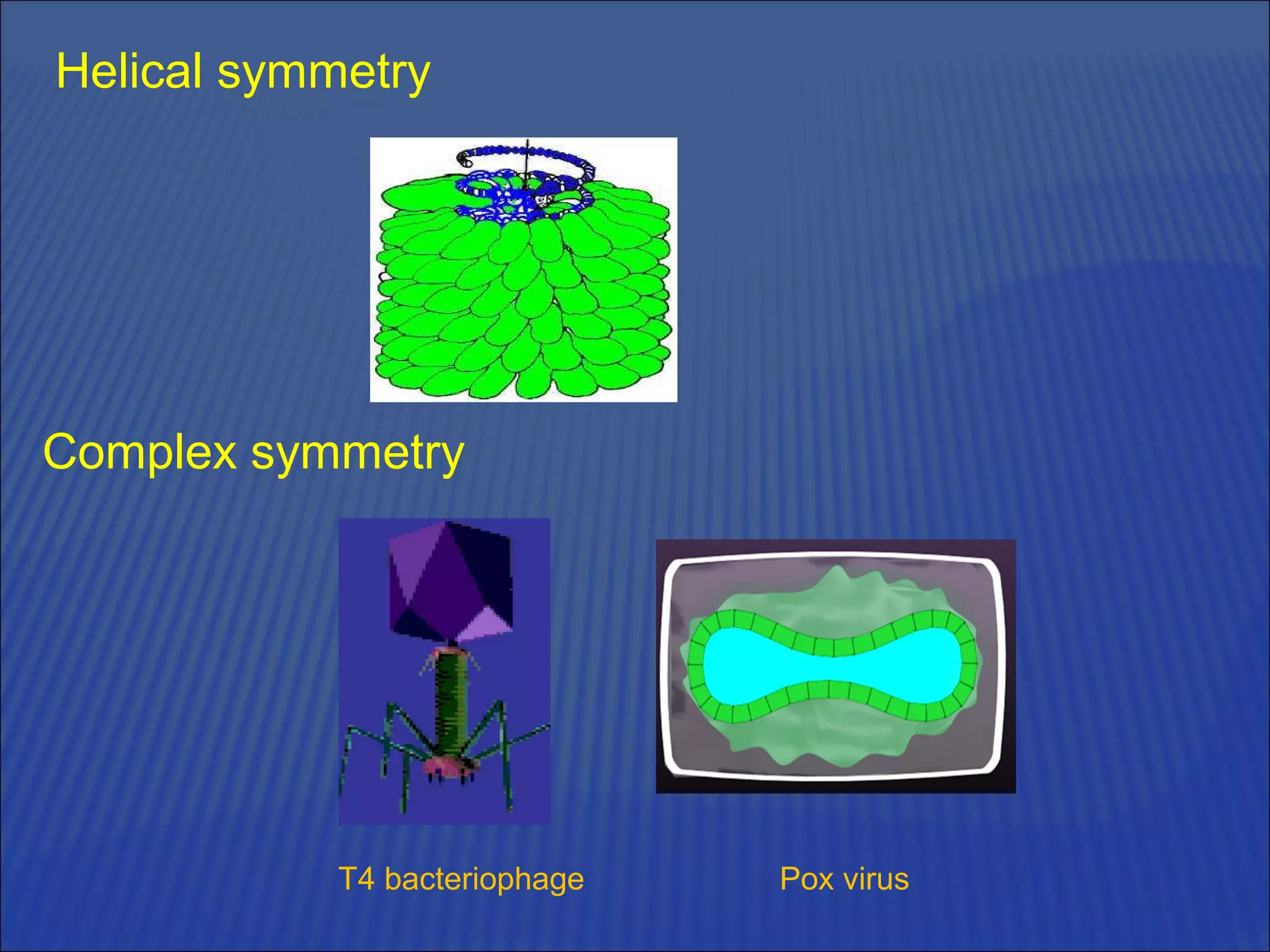 General properties of viruses | PPT