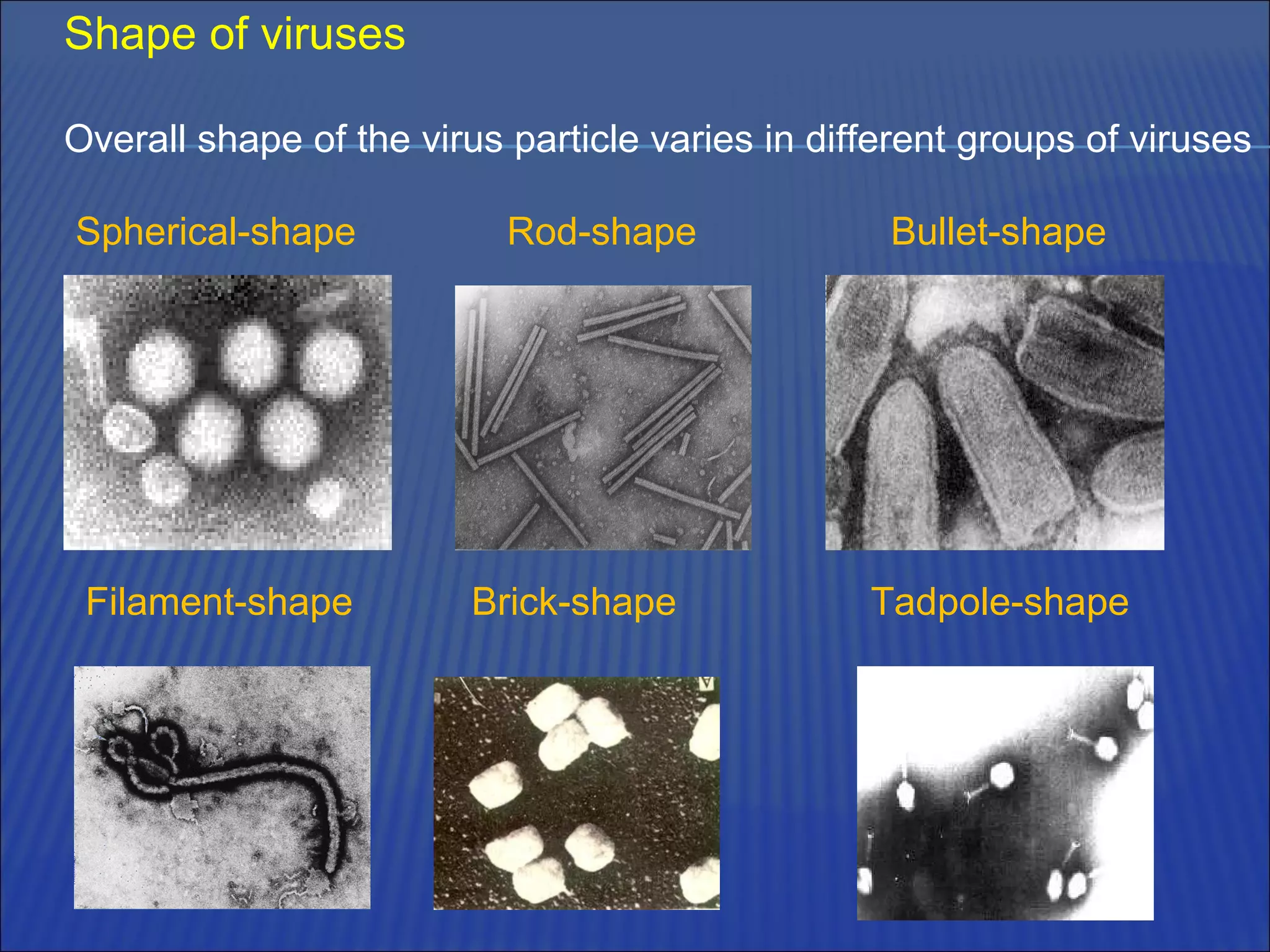 General properties of viruses | PPT