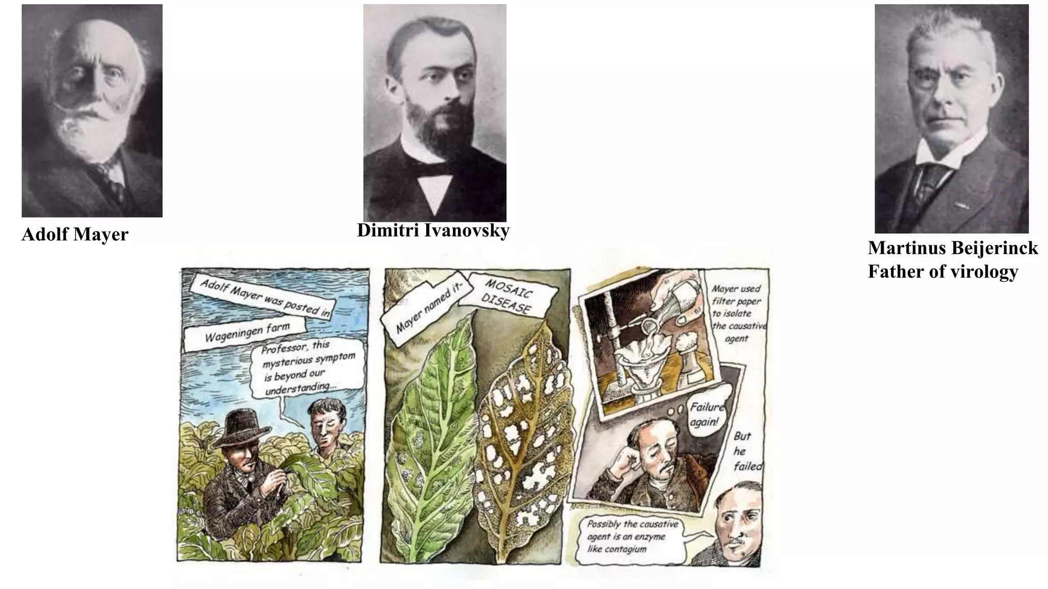 General properties of viruses | PPTX