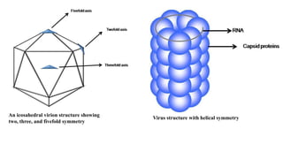 General properties of viruses | PPTX