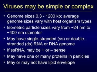 General properties of viruses internet1.ppt