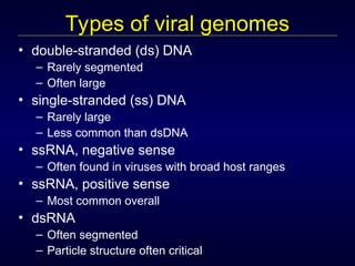 General properties of viruses internet1.ppt