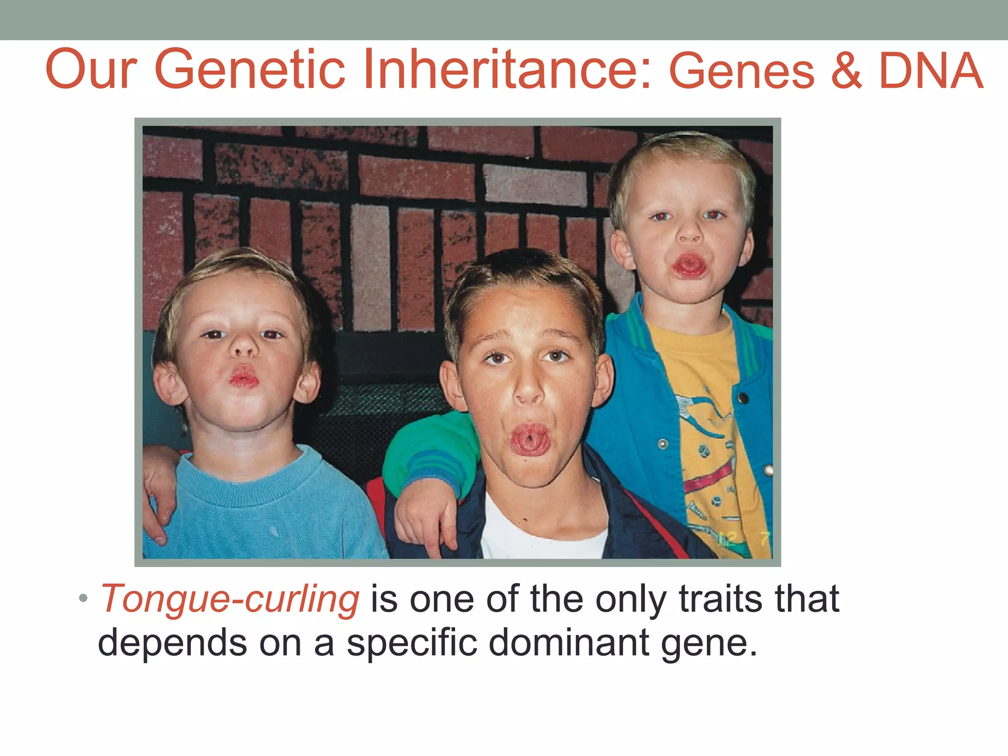 General psych neurobiological bases | PPT