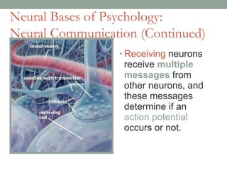 General psych neurobiological bases | PPT