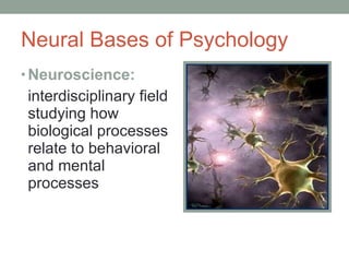 General psych neurobiological bases | PPT