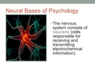 General psych neurobiological bases | PPT