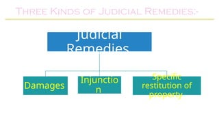 GENERAL REMEDIES IN TORTS B.A.LLB...pptx