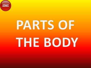 General revision | PPTX