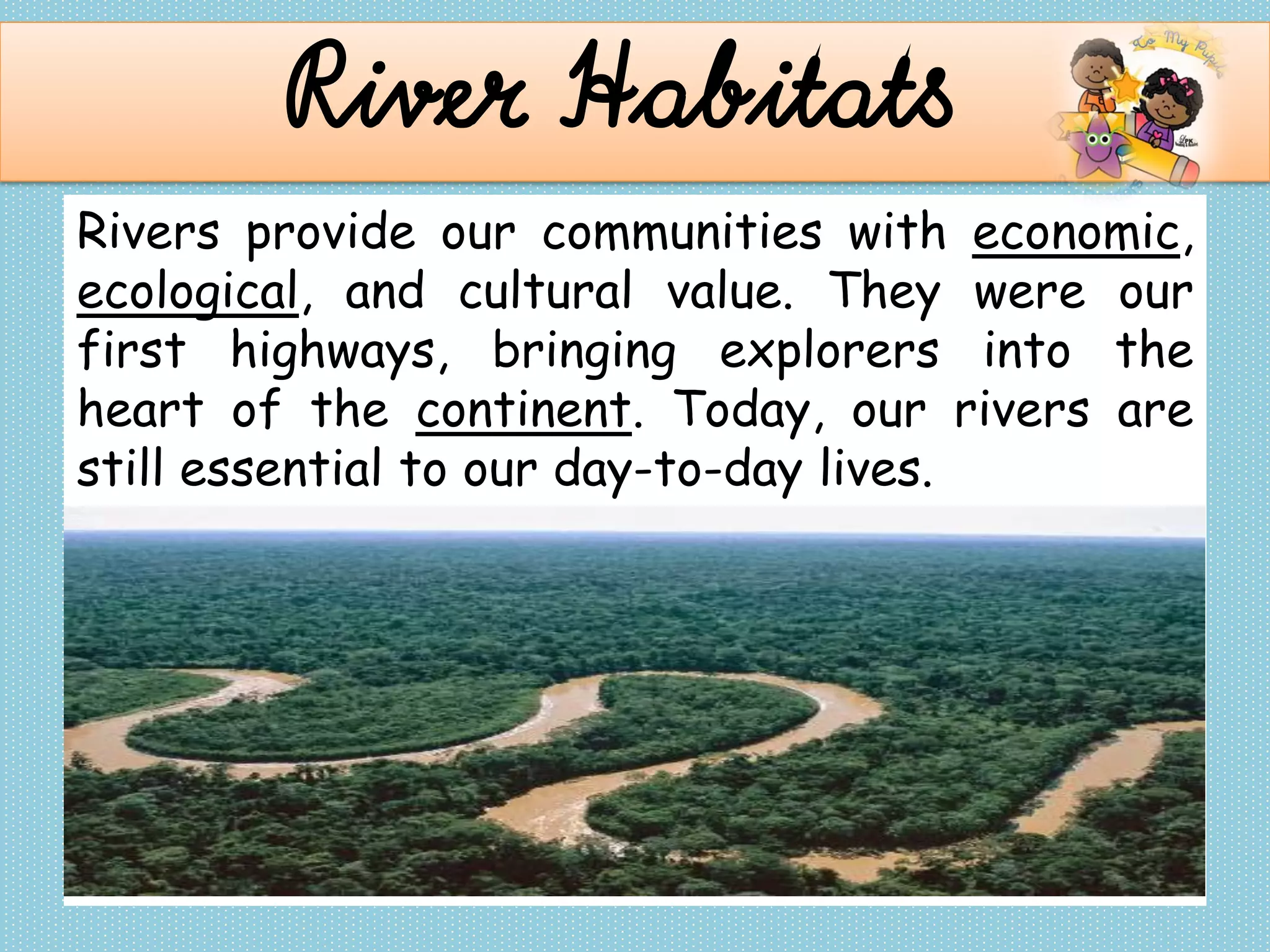 Aquatic Habitat: The River | PDF
