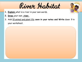 Aquatic Habitat: The River | PDF