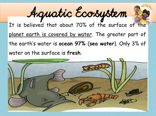 Aquatic Habitat: The River | PDF | Geography | Science