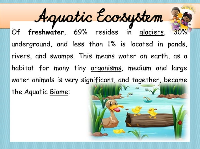 Aquatic Habitat: The River | PDF | Geography | Science
