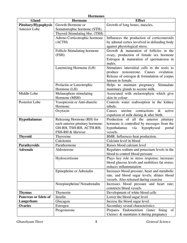 imagenomic portraiture crack 2025 serial key free Download | PDF