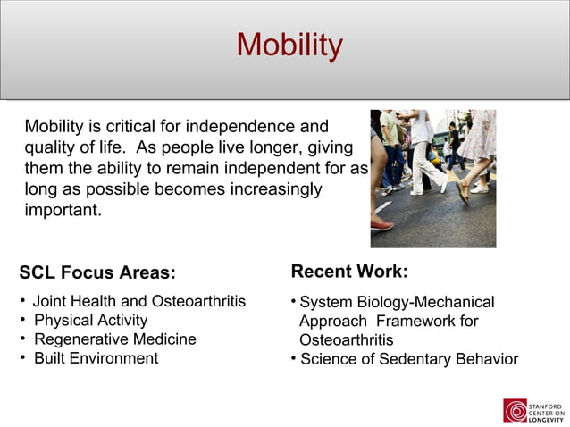 General scl presentation v2 | PPT | Free Download