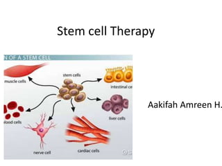 Stem cell Therapy | PPT